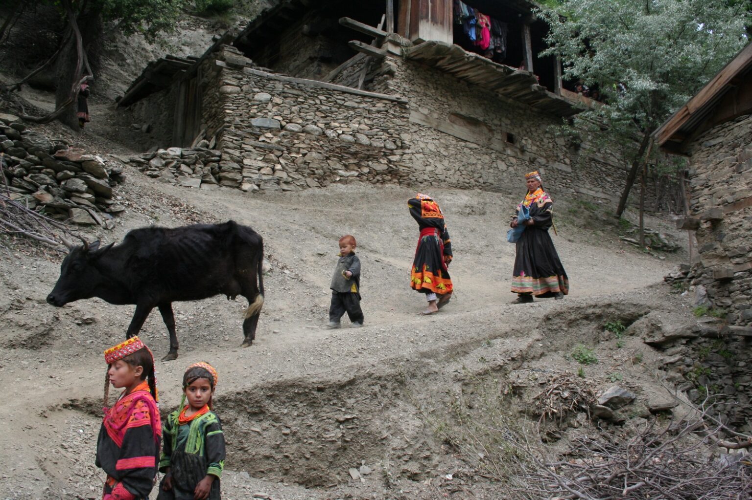 Uchal Festival Kalash Valley (2026-2027) - Saiyah
